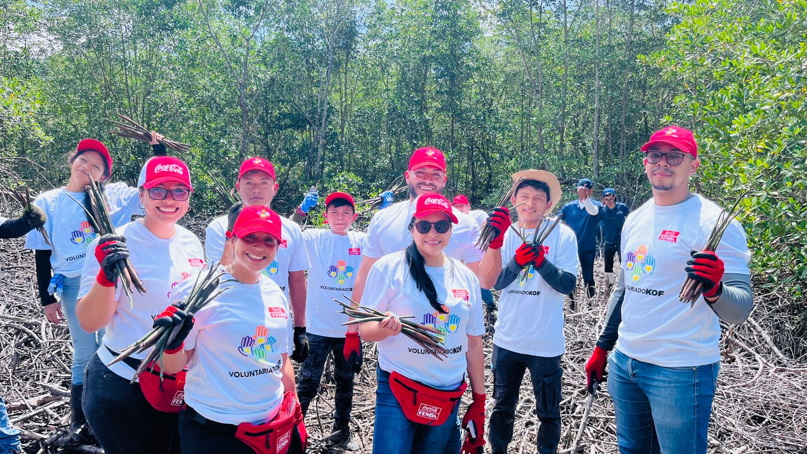 CDP reconoce los esfuerzos en gestión de la sostenibilidad de FEMSA y ...