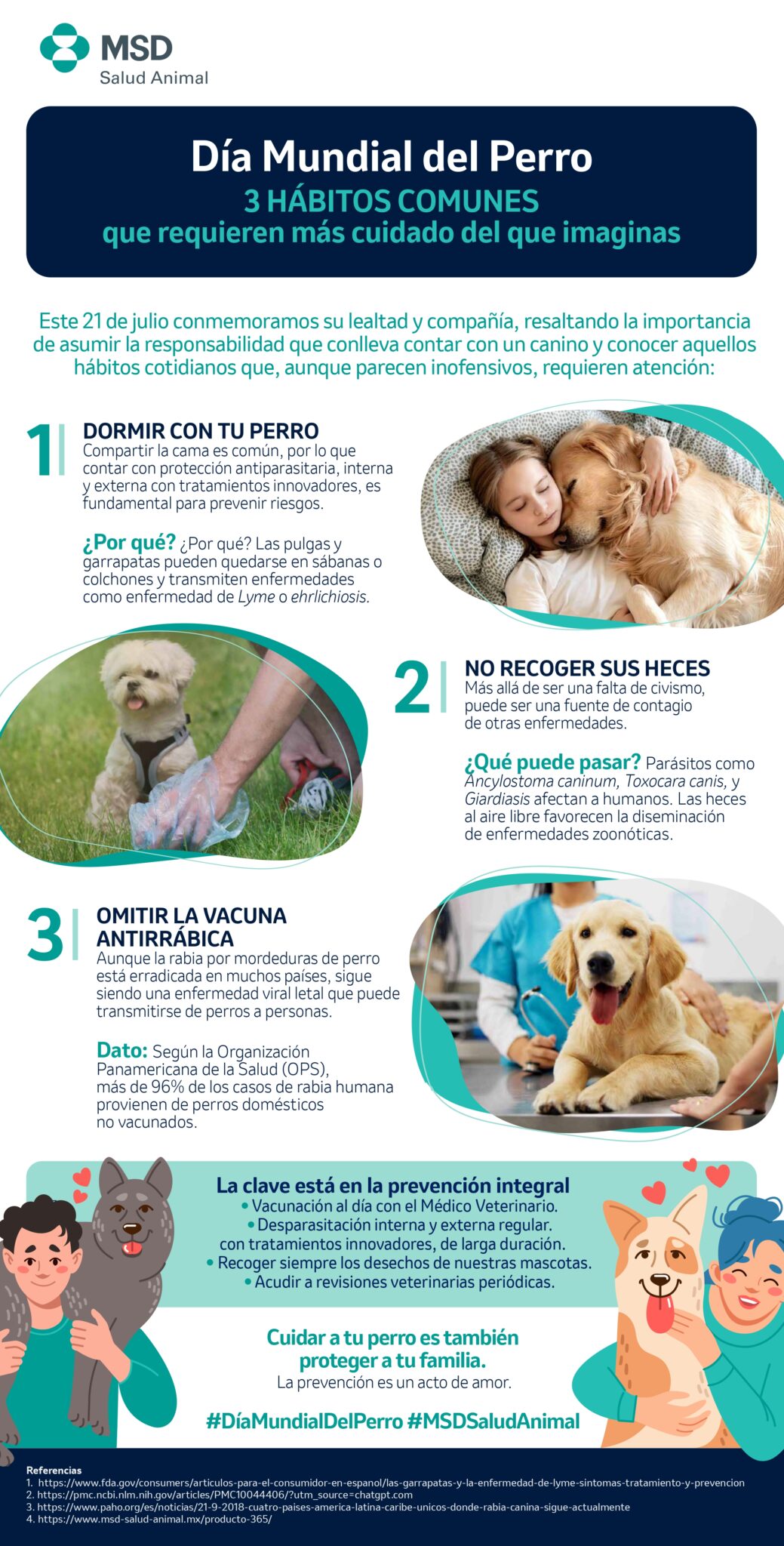 Día Mundial del Perro. Tres hábitos cotidianos que requieren más ...